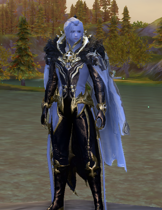 NPC 65 Daevanion Cloth Jacket