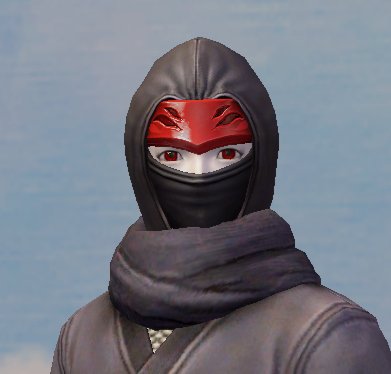 Shadow Wraith Mask